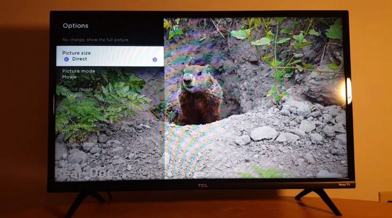 Roku Screen Zoomed in? [Easy FIX!]