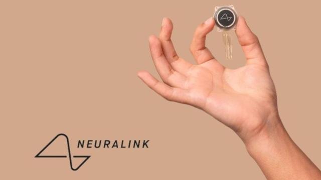 Neuralink’s Blindsight Gets FDA ‘Breakthrough’ Label as Musk Aims to ...